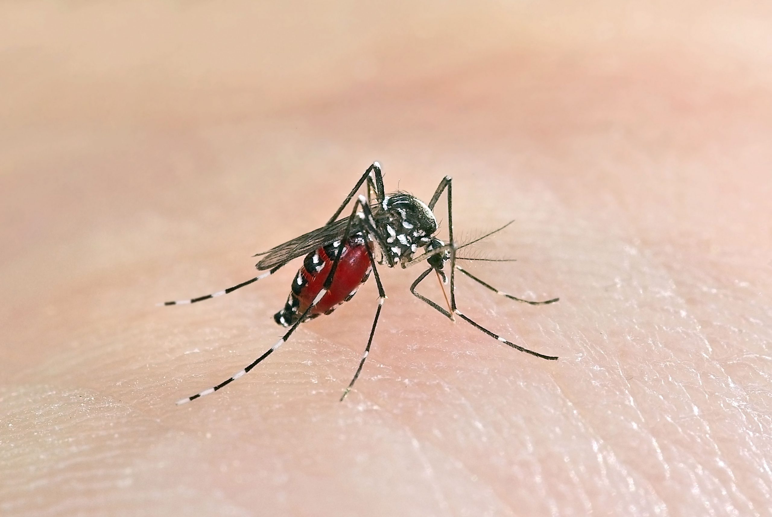 Enhancing dengue control with rapid tests - Gates Open ResearchGates ...